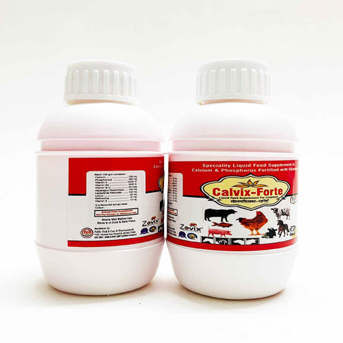 CALVIX-FORTE Liquid (2000ml) Daksh Pharmaceuticals Pvt. Ltd.